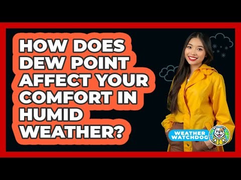 How Does Dew Point Affect Your Comfort In Humid Weather? - Weather Watchdog