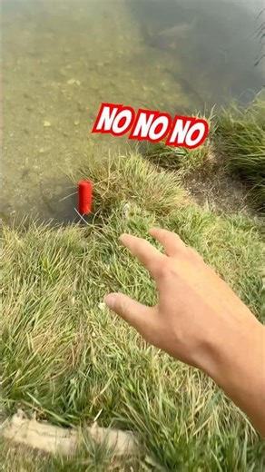 JBL Flip 7 Close Call 😬💦