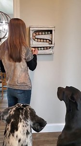 84K views · 406 reactions | This is so cool! 讀讀 Find here ➡️ https://shopstyle.it/l/bvf3H . The link above helps our page as we may earn a small commission at no extra cost to you. | Good Living Guide | Facebook