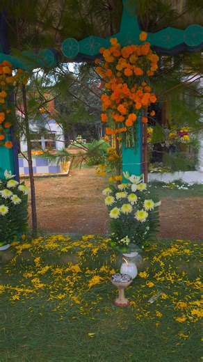 En el panteón de agua de pajarito | Aliens Lopez