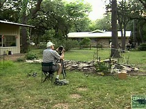 Hummingbird Photographers