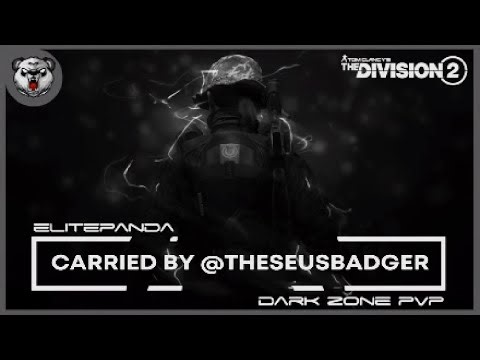 The Division 2 l Carried by @TheseusBadger (4W/28K/6D)