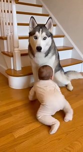 94K views · 2.8K reactions | Real home interior, pure drama… Baby on...