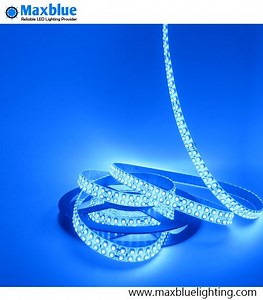 [Hot Item] 19.2W/M 3528 240LEDs/M Blue Color IP65 LED Strip