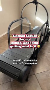 #reels #reelsfbviral #recommendation #viralreel #facebookreelcontest #fbreel #usa #pet #goldenretriver #reaction | mavandmel