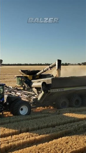 Let The Balzer Do The Talking