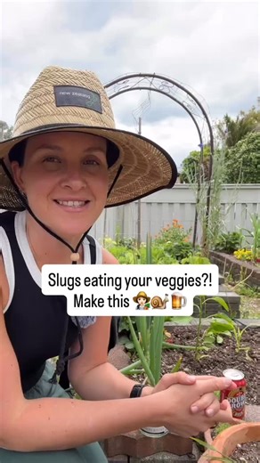 Slugs and snails are the WORST! Especially with small seedlings. Here’s how to make a beer trap that works and keeps them off your crops! Have you made them before? Will you be making them? Let me know! — 👩🏻‍🌾 Hey, I’m Tash - I started gardening in pots 8 years ago and now have a small vege patch in my front yard. I’d love to help you get started with your vege patch. ✅ Hit FOLLOW and let’s grow your vege patch too & grab my free checklist in my profile 😍 organic vege growing vegetable garde