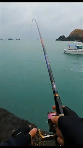 Core Practical Tips for Rock Fishing Sea Bream1. Tide Timing = Half...