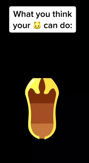 Kegels are just the tip of the iceberg of what you can do! #seggs #seggseducation #pompoir #kegels #pelvicfloor #griptrick #thegriptrick#gorillagrip #kegeltok #thegripthing