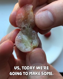 524K views · 2.7K reactions | Today we're having some fun with the CO2 cannister. Maybe a little too much fun. Did you know you could carbonate meat?! PLUS I'm teaching you how to crack an egg with just one hand and how to make red wine vinegar from FROM SCRATCH. Let's get cooking 落 Follow for more videos! Full recipes here: https://www.omnivorousadam.com/ | Adam Witt | Facebook