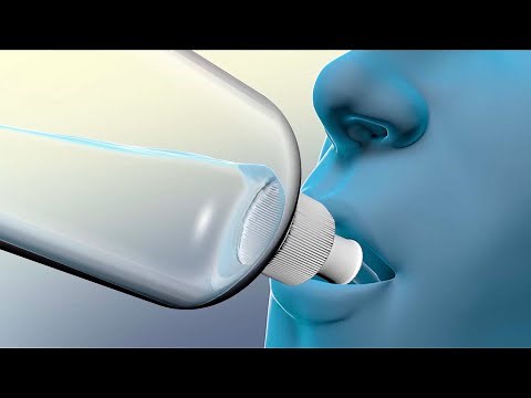 Why Water is Important for Sustaining Normal Cellular Functions and Blood Volume