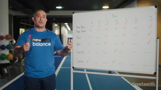 Isometric strength training online course - Sportsmith