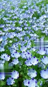 Spring Time #Springtime #Facebookreels | Beautiful Nature And Gif