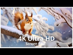 🌍 4K Ultra HD Screen Test - Experience Breathtaking Detail in 4K! 🌟