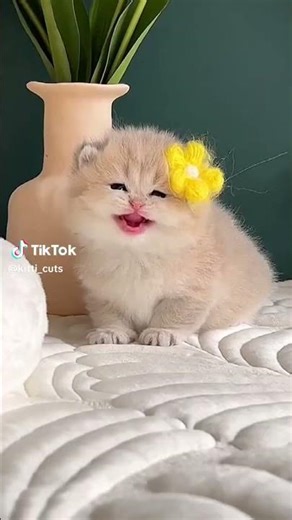 Glittery Gift Unwrappers ✨🎁