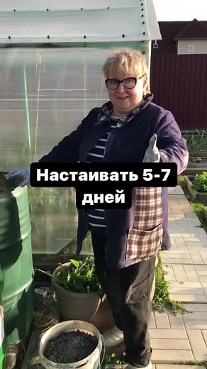 Gardening Tips: Potting Plants in Your Outdoor Space