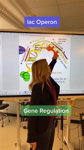 lac Operon #genetics #lactose #dna #fyp #foryou #science #biology #apbio #hbio #e2 #tiktokteacher #school