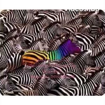 Production stages of nano electrostatic powder coating (3)