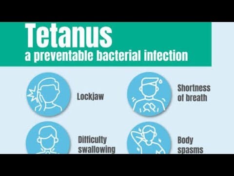 Disease and immunity chapter four lesson 11