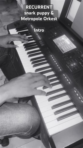 Snarky Puppy & Metropole Orkest - Recurrent (tutorial Intro) #snarkypuppy #intro #piano #solo