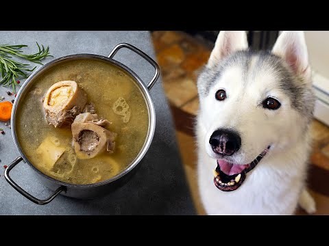 How To Make Bone Broth For Dogs 🦴 DIY Dog Treats