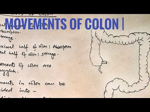 Movements of colon | med tutorials |
