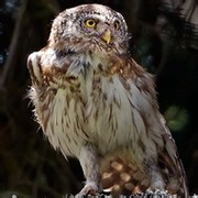 loc pynthon - 53 года на Мой Мир@Mail.ru