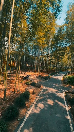 13 reactions | The two families who went viral on both #rednote and X in January for their photo swap, 盧 have finally met in Shanghai!拾 Watch the adorable vlog by Neumann Brecken from the US family, capturing all the heartwarming moments. Video cr. Brecken Neumann | Shanghai Let's meet | Facebook