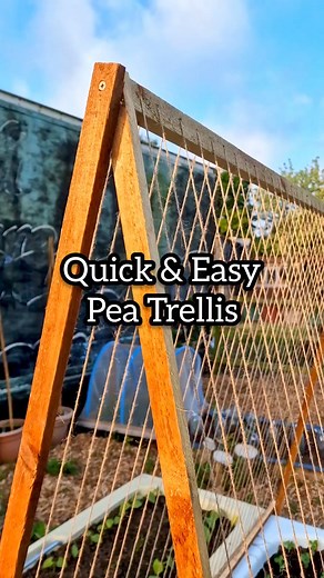 4.1K views · 38 reactions | Loved knocking this quick folding pea...