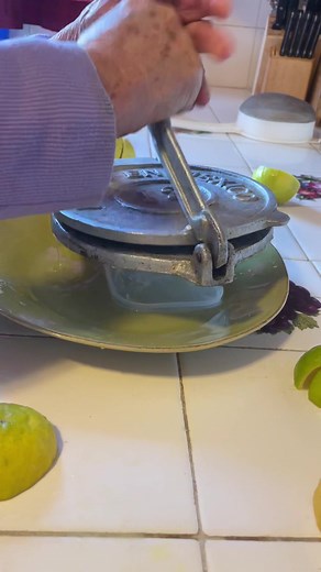 Effective Citrus Juicing Tips Using a Manual Juicer