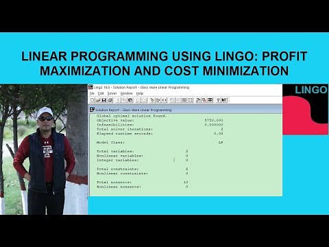 Linear Programming Using LINGO: Profit Maximization & Cost Minimization
