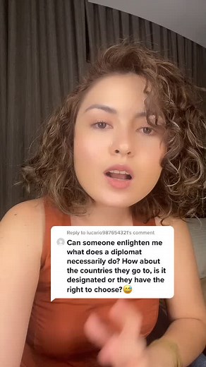 What is a Diplomat? Explained Simply