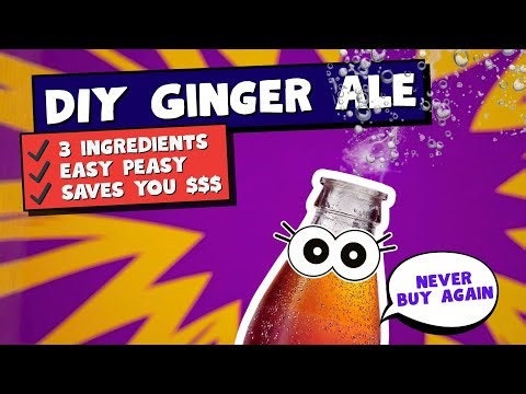 Make Ginger Ale from Ginger Bug [3 Items + NO Gear]