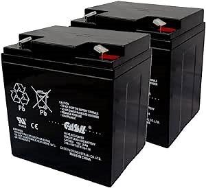 Casil 2081-9287 Simplex Fire Panel Battery 2 Pack