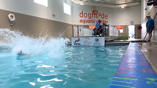 63K views · 512 reactions | This gives new meaning to the dog days of summer. Sound up on this one. This is the North America Diving Dogs competition that took place right here in Utah today at DogMode. Dogs of all shapes and sizes battled it out to see who had the most power and determination to take to the sky in pursuit of that ever elusive flying toy. | KSL 5 TV | Facebook