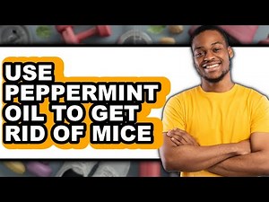 How to Use Peppermint Oil to Get Rid of Mice - Step by Step