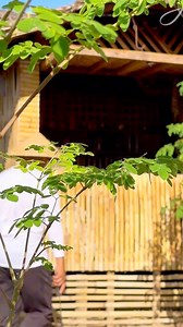 Manatiling produktibo | Joseph Farm Life