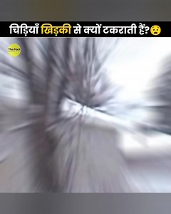 771K views · 10K reactions | Ten unknown Facts About #Films 1. The...