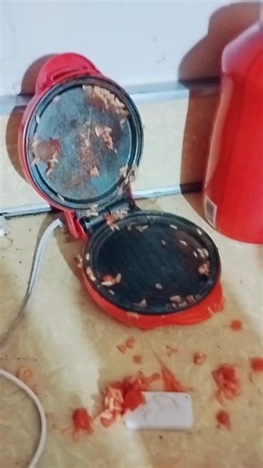 cockroach experiment