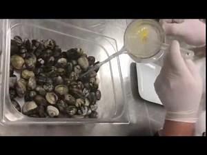 How to clean mussels in a few minutes - ORVED - Vacuum Technology