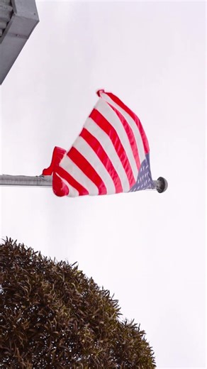 1950 Ford F1 Bonus | Live Auction