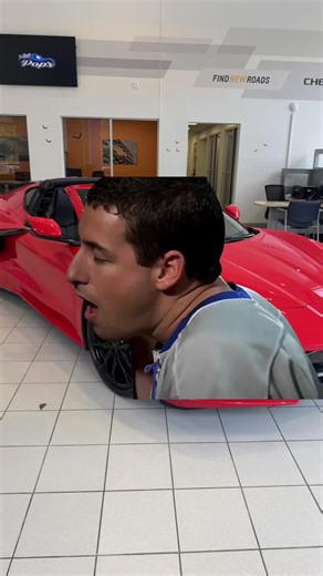 #Meme #MemeCut #10kfollowers😭😭😭😭 #buyfromdustinmusic