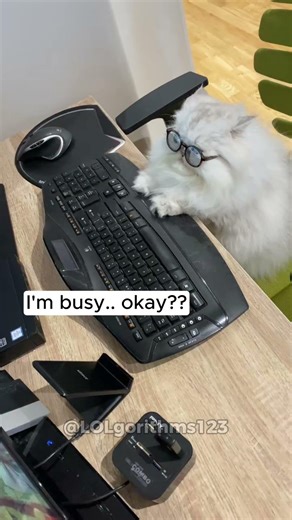 GlitchCatCore 😛😎 #cat #funnyanimal #core