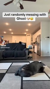 Dree Heard I play way too much 😅 | Dree and Ghost