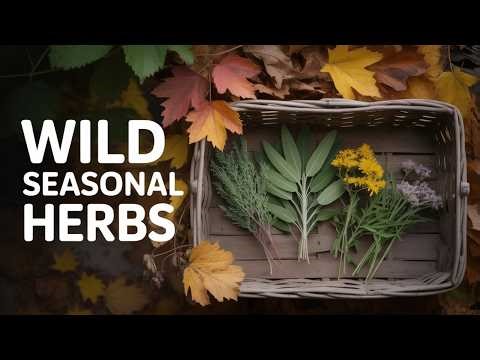 5 Magical Autumn Herbs to Forage This September for Ultimate Wellness
