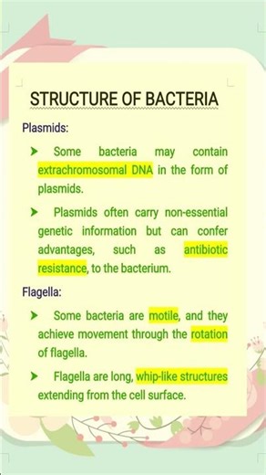 STRUCTURE OF BACTERIA ( PART-4 )