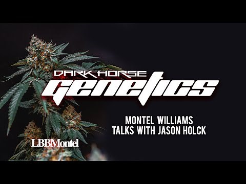 Unlocking the Secrets of Cannabis Genetics with Jason Holck