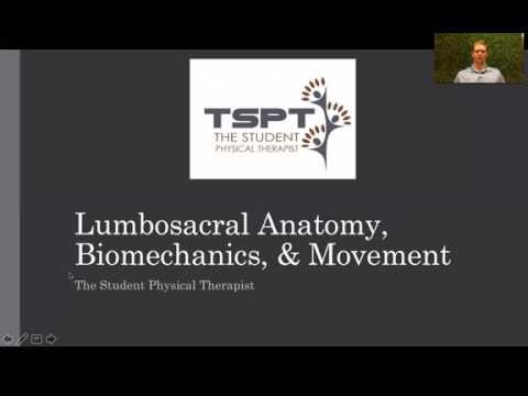 Lumbosacral Anatomy Biomechanics