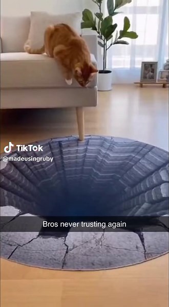 Ah yes cats #madewithruby #rubyai