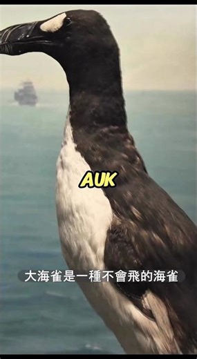 Animals Humans Made EXTINCT 😔 #animals #facts #wildlife